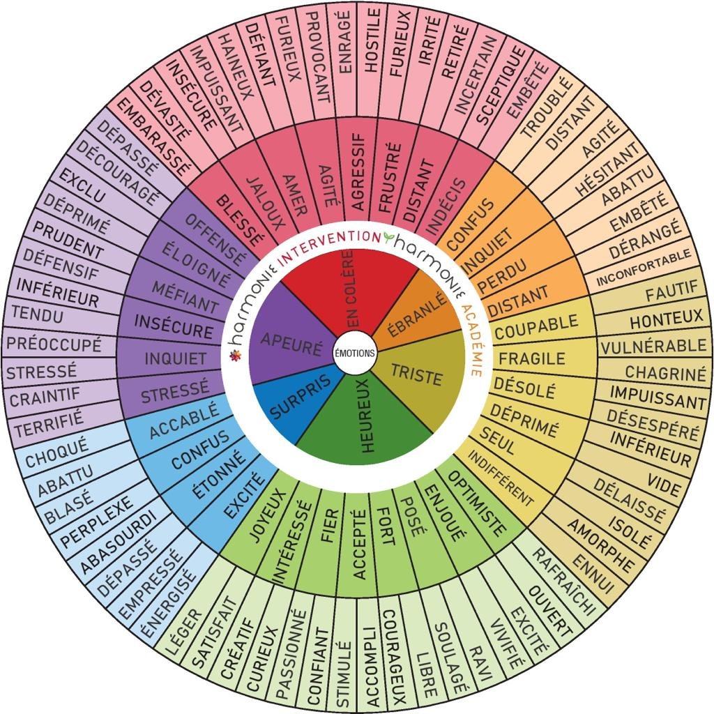 LA ROUE DES EMOTIONS DANS VICE VERSA 2alasource.net